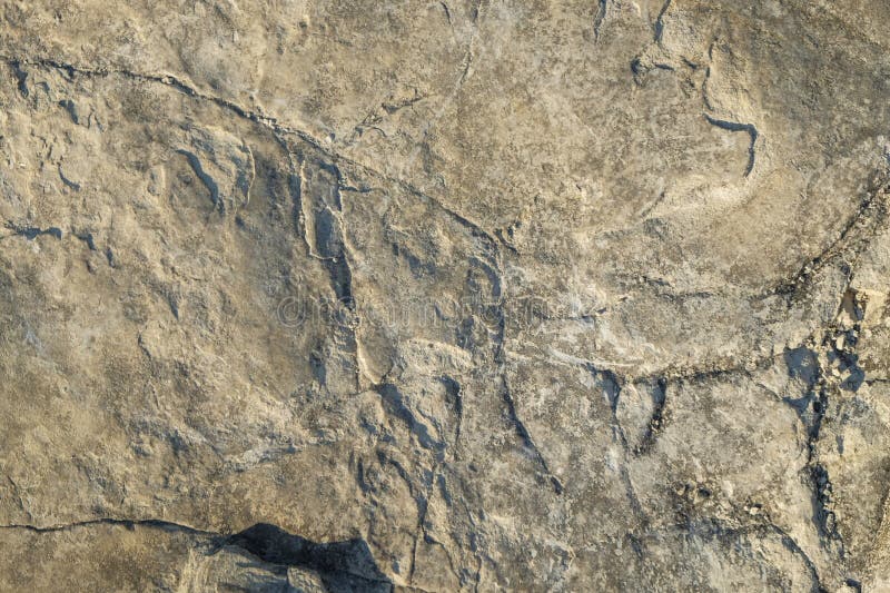 The Abstract Shapes, Patterns and Textures of Hard Soil Resemble Rocks ...