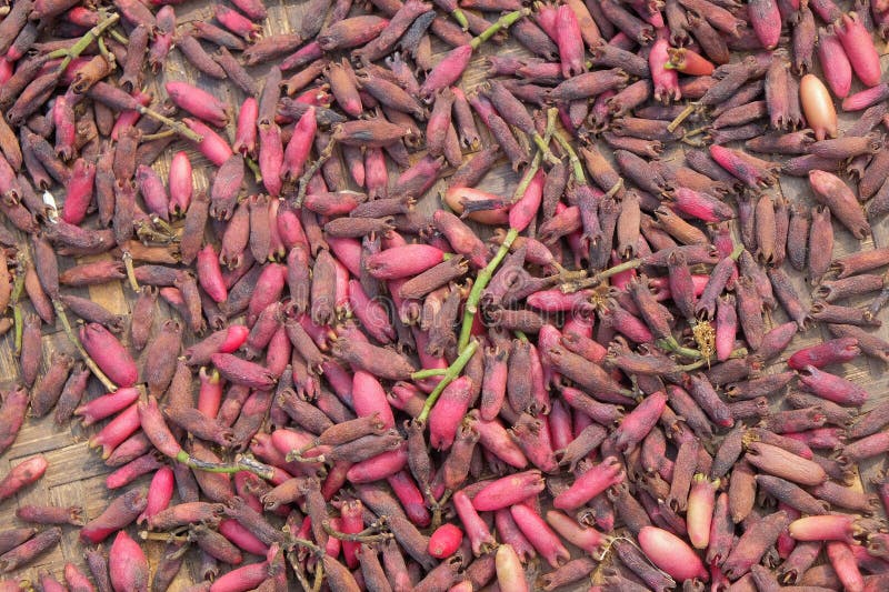 Abstract Shapes, Patterns and Textures of the Surface of Sun-dried ...