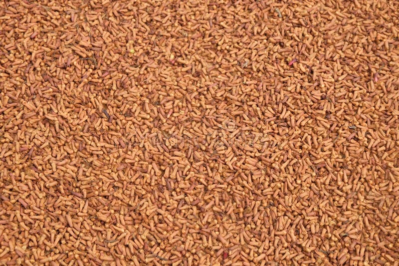 Abstract Shapes, Patterns and Textures of the Surface of Sun-dried ...