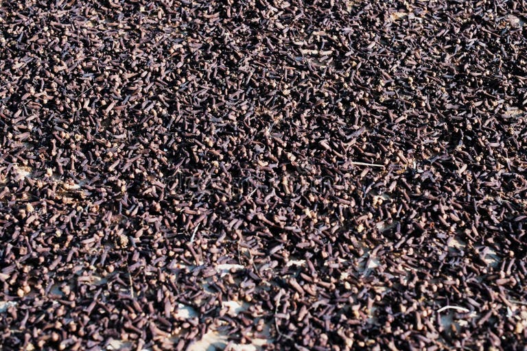 Abstract Shapes, Patterns and Textures of the Surface of Sun-dried ...