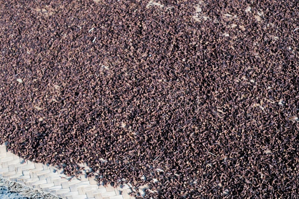 Abstract Shapes, Patterns and Textures of the Surface of Sun-dried ...