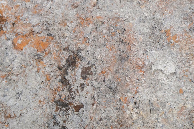 Abstract Shapes, Patterns and Textures of White Ash Left Over from ...