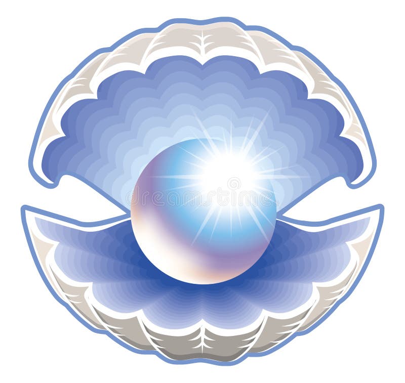 Shell with Pearl Vector Illustration Stock Vector - Illustration of ...