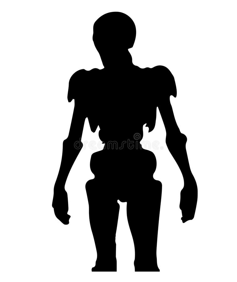 Abstract Silhouette of a Human Skeleton Stock Illustration ...