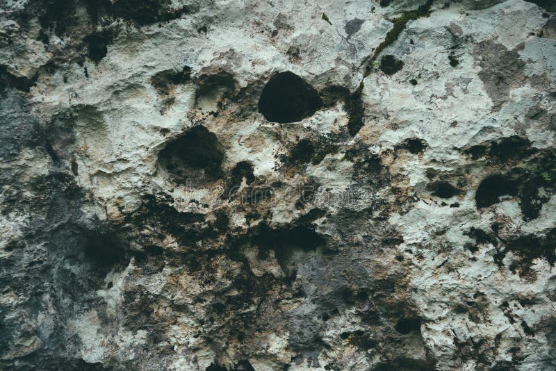 Abstract Silhouette of Skull on the Stone Wall Stock Image - Image of ...