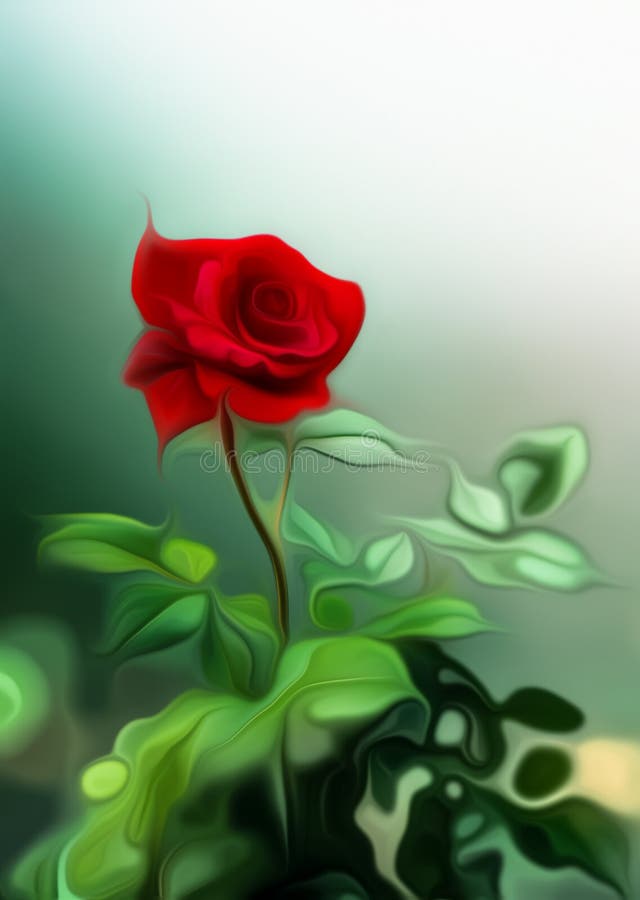 Abstract Single Red Rose stock image. Image of abstract - 263649033