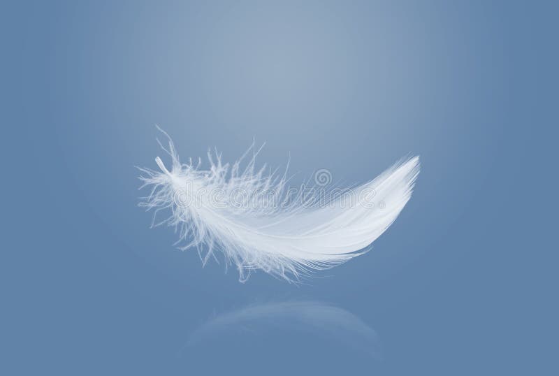 Feather Floating Abstract Stock Illustrations – 1,200 Feather Floating ...