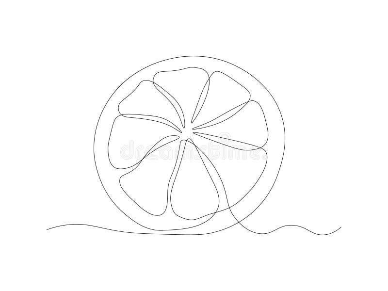 Abstract Slice of Lemon,orange, Lime, Continuous One Line Art Drawing ...