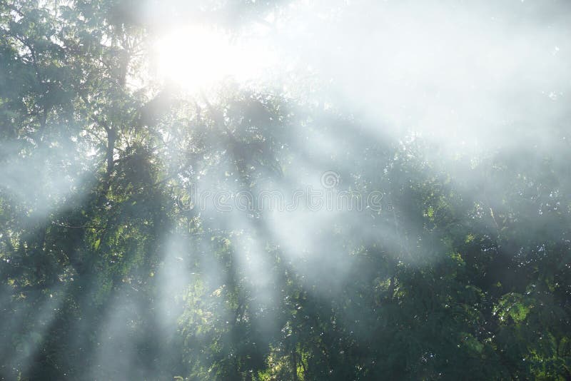 Abstract smoke shape stock photo. Image of shape, abstract - 122081258