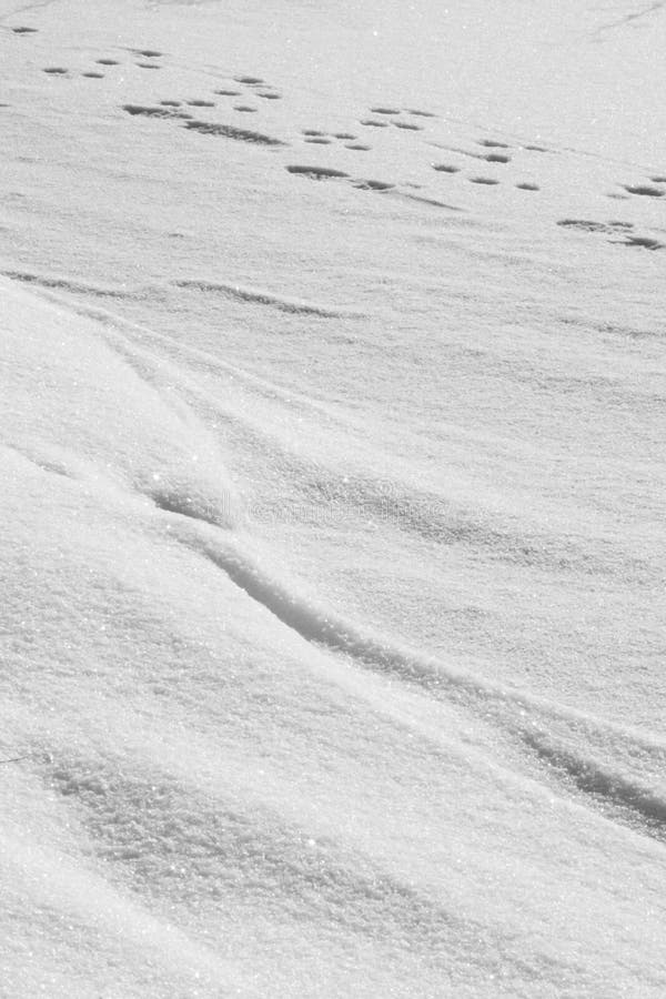 Abstract Snow Shapes - Snow Texture Stock Photo - Image of form, cold ...