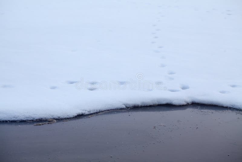 Abstract Snow Shapes - Texture Stock Photo - Image of snowy, snowfall ...