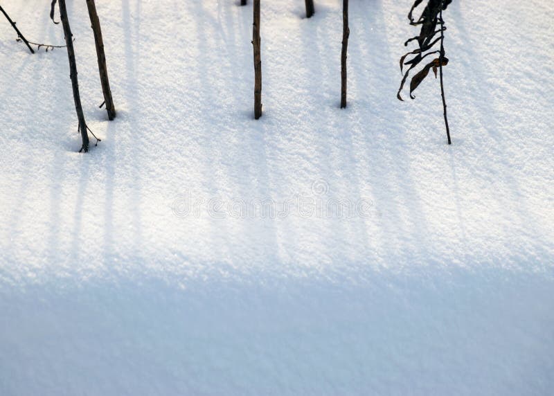 Abstract Snow Texture, Snow and Frozen Grass, Shadows on the Snow Stock ...