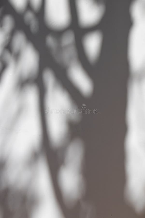 Abstract Background, Shadow of the Tree on the Wall Stock Image - Image ...
