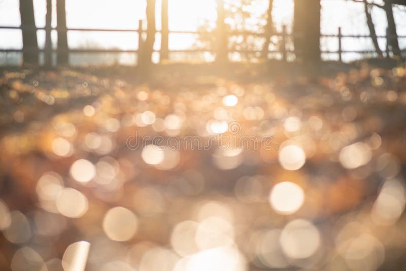 Abstract Blurry Unfocused Background Stock Photo - Image of design ...