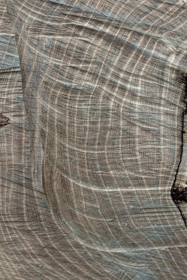 Abstract Solid Wooden Circle Pattern Stock Image - Image of surface ...