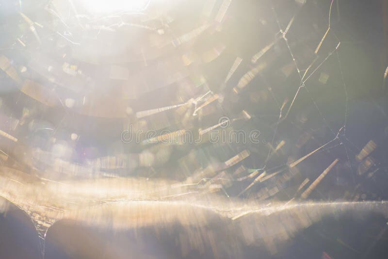 Abstract Sparkle Refraction Texture Picture Stock Photo - Image of ...