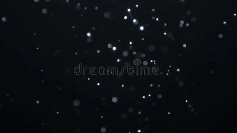 Abstract Sparkling Particles on Dark Background Seamless Loop Video ...