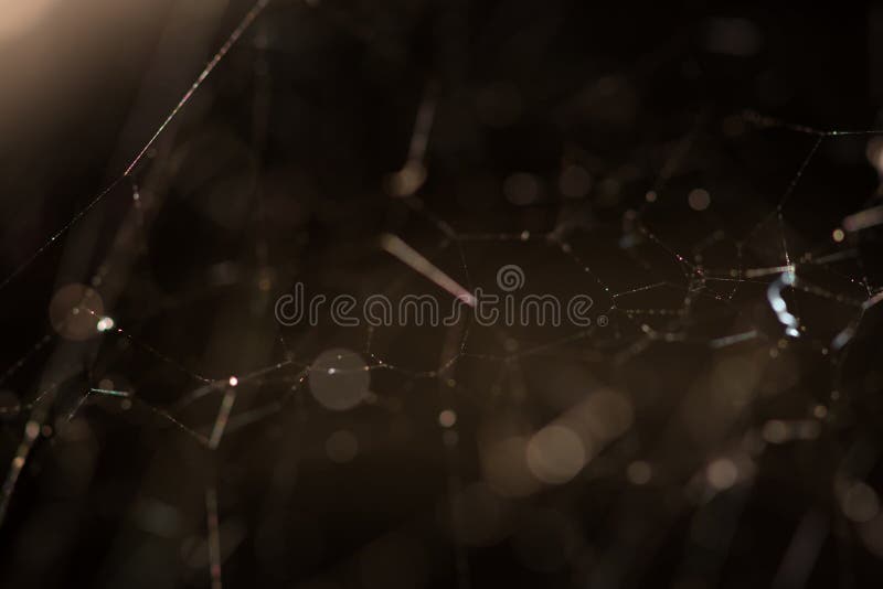 Abstract Spider Web on Black for Background Stock Photo - Image of ...