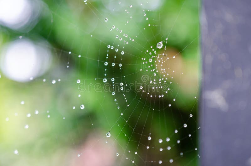 Abstract Spider Web in Close-up Covered in Morning Dew Droplets Stock ...