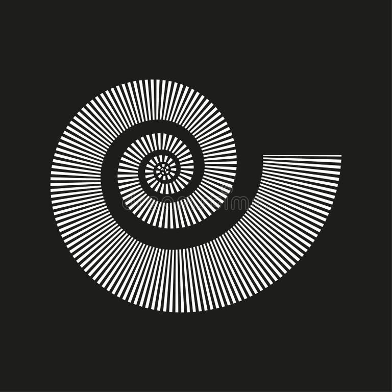 Spiral Seashell Vector Stock Illustrations – 12,443 Spiral Seashell ...