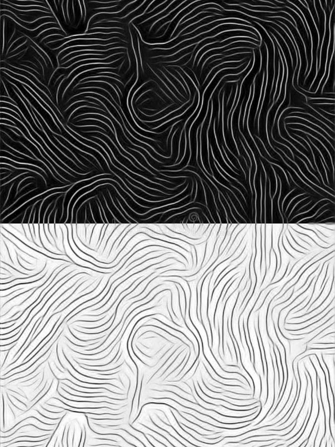 Abstract Split White on Black and Black on White Contour Lines Random ...