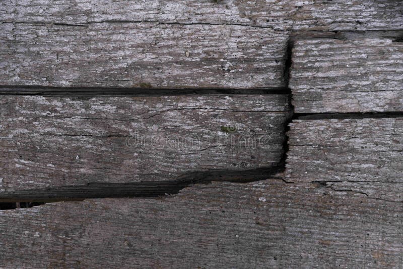 Abstract Split Wood Textures Surface Background Closeup Stock Photo ...