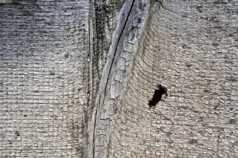 Abstract Split Wood Textures Surface Background Closeup Stock Photo ...