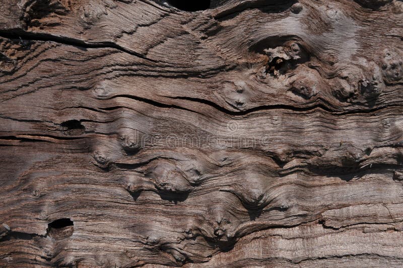 Abstract Split Wood Textures Surface Background Closeup Stock Image ...