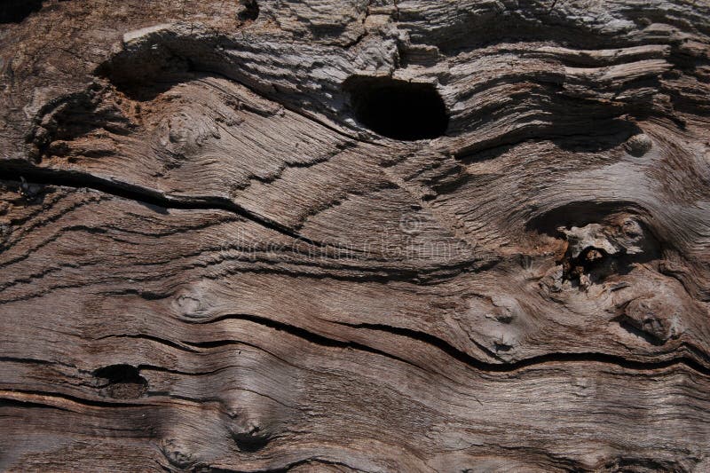 Abstract Split Wood Textures Surface Background Closeup Stock Image ...