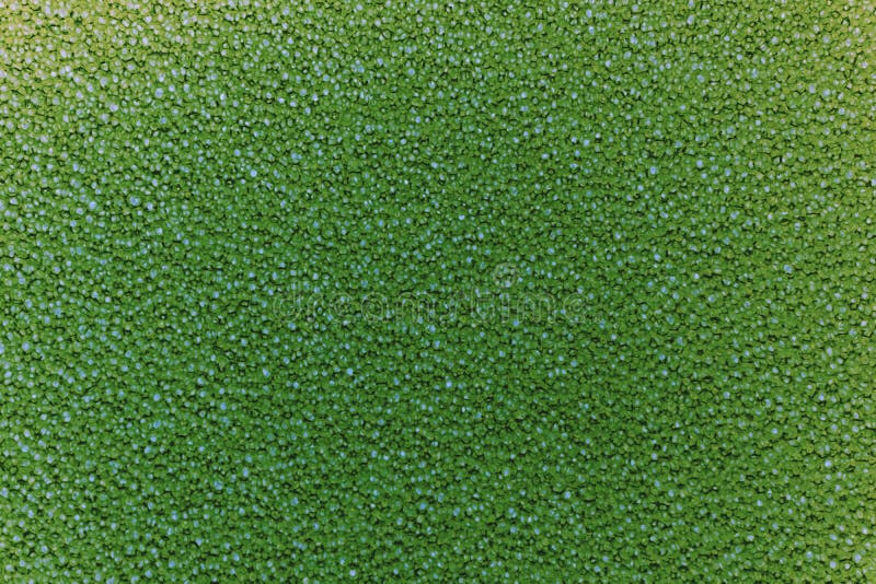 Scrub Seamless Terrain Texture Stock Photos - Free & Royalty-Free Stock ...