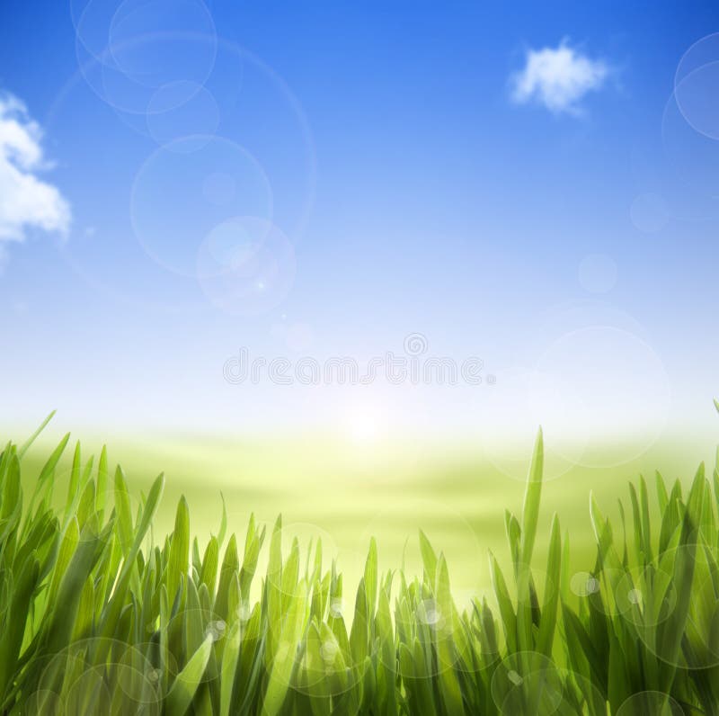 Art Abstract Spring Green Background Stock Photo - Image of light ...