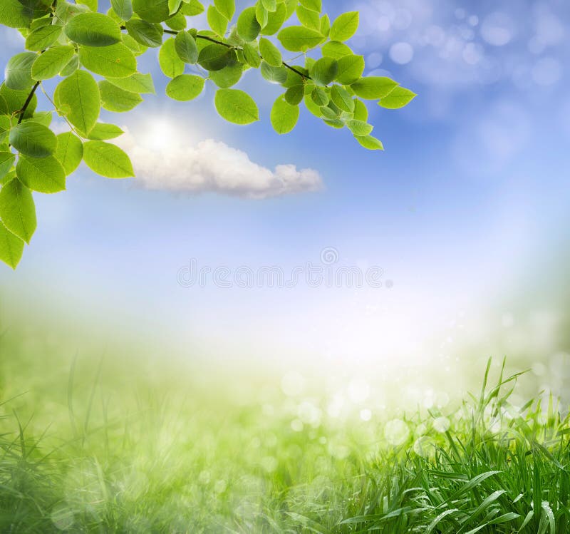 Spring or Summer Abstract Background with Bokeh Lights. Stock Photo ...