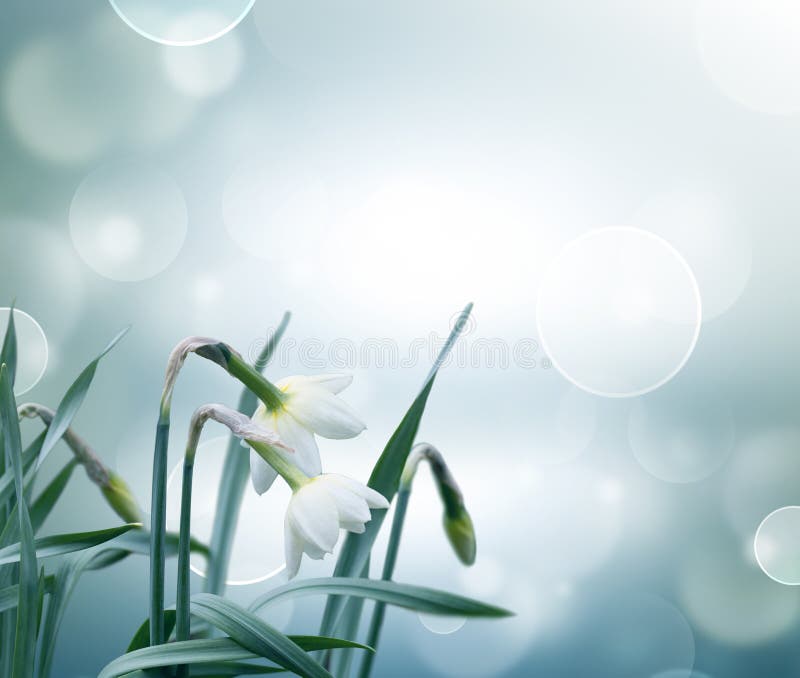 Abstract spring background stock photo. Image of floral - 65545156