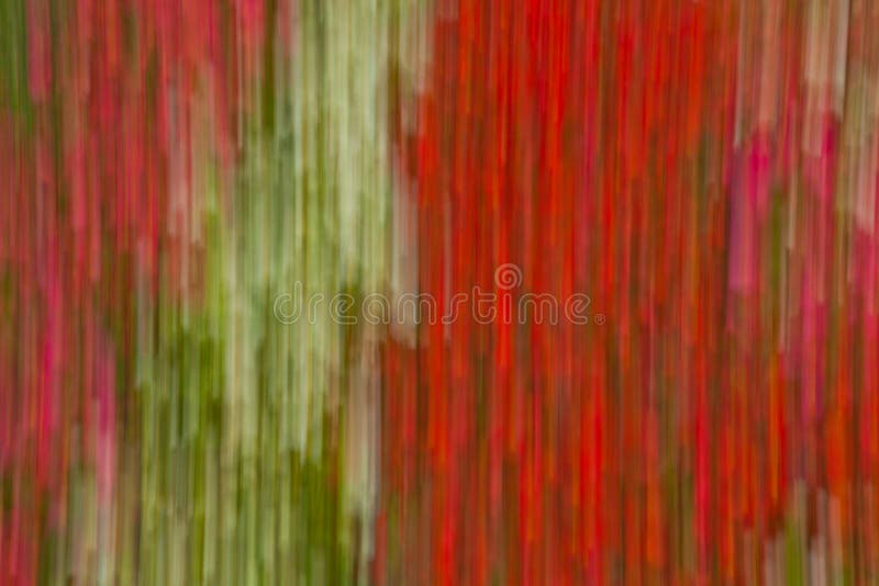 Abstract spring colors stock image. Image of blur, green - 61779383