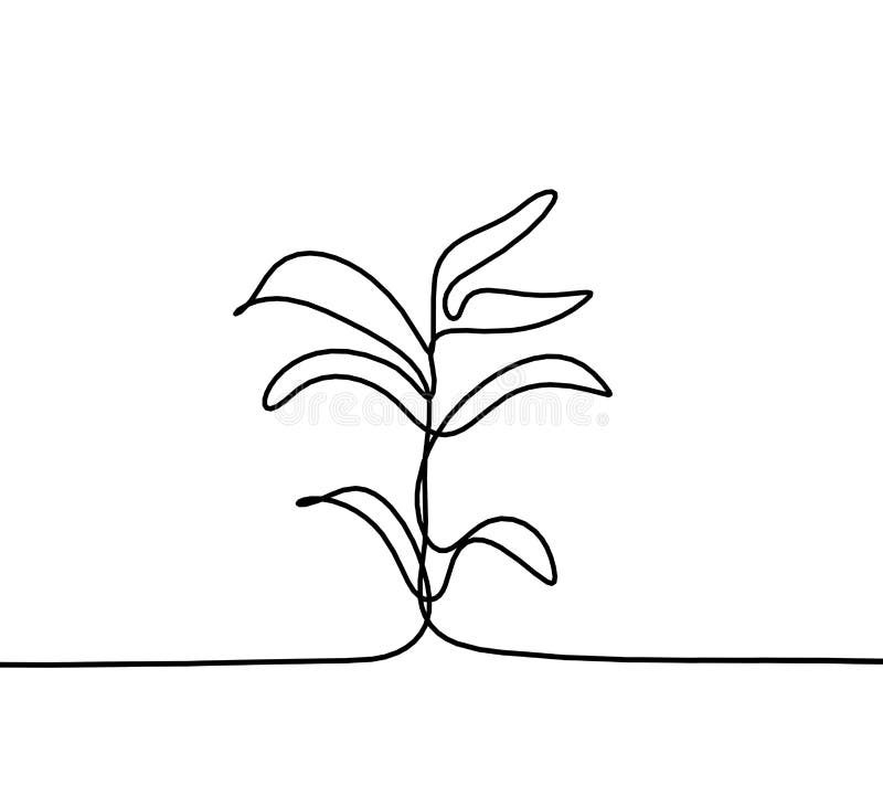 Abstract Sprout with Hand As Line Drawing on the White Stock ...