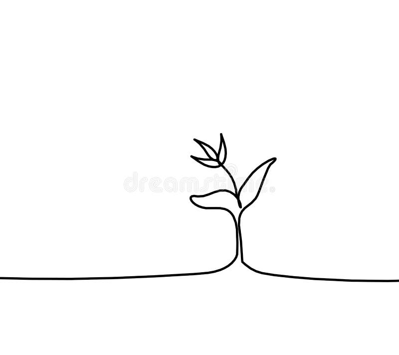 Abstract Sprout with Brain As Line Drawing on the White Stock ...