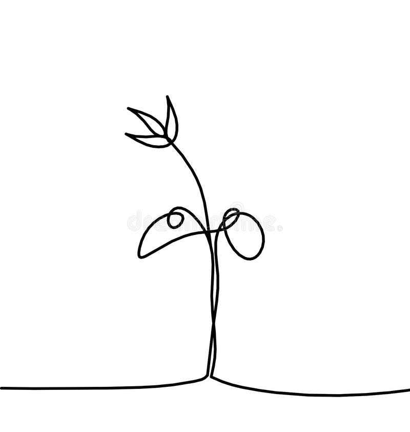 Abstract Sprout As Line Drawing on the White Stock Vector ...