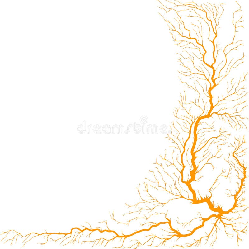 Abstract Square Shape Illustration of Tree Roots. Stock Vector ...