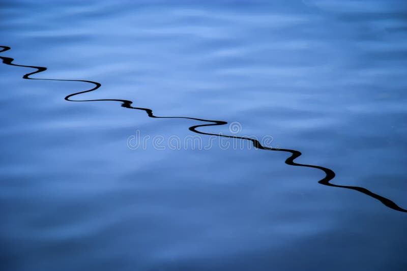 Blue Squiggly and Circular Electricity Like Light Streaks on Blue ...