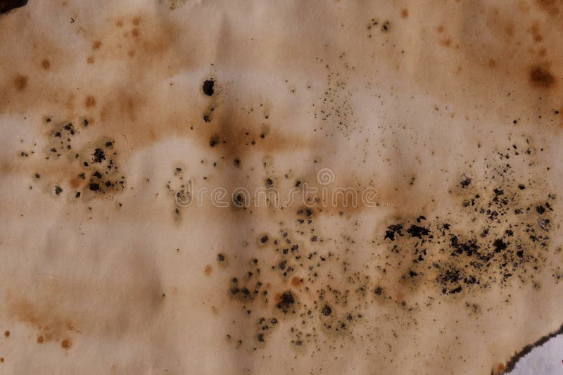 Abstract Stained Paper Textures Surface Background Closeup Stock Photo ...