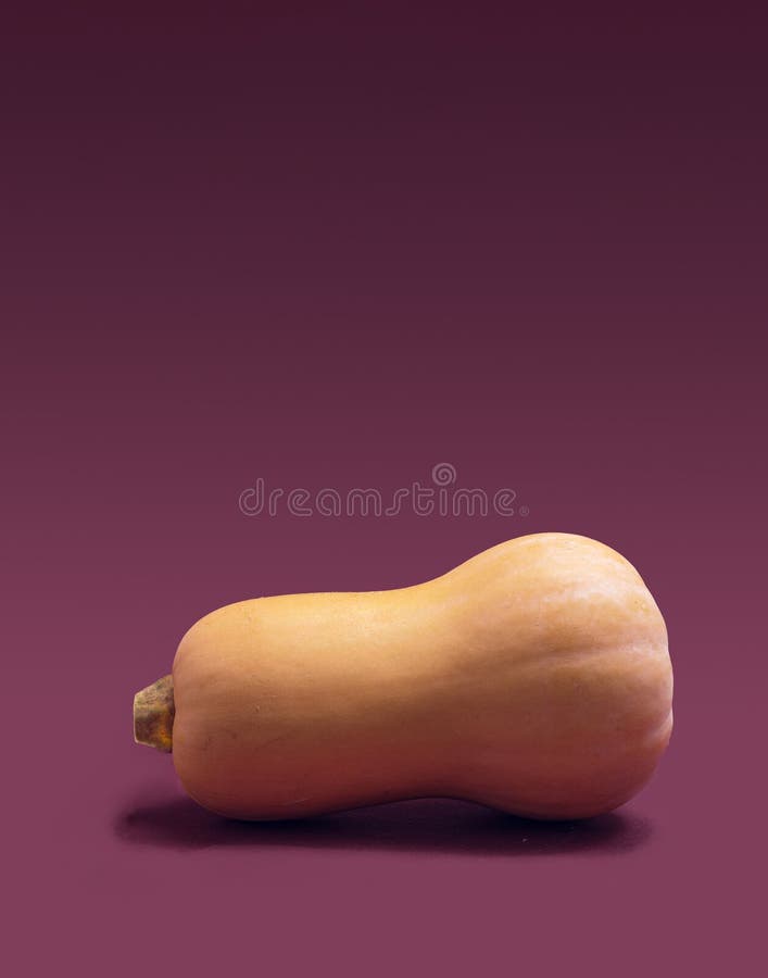 Abstract Still Life Concept. Organic Fresh Squash Against a Purple ...