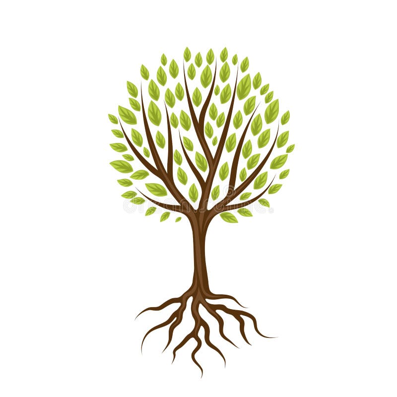 Green Tree with Leaves and Roots. Vector Outline Illustration Stock ...
