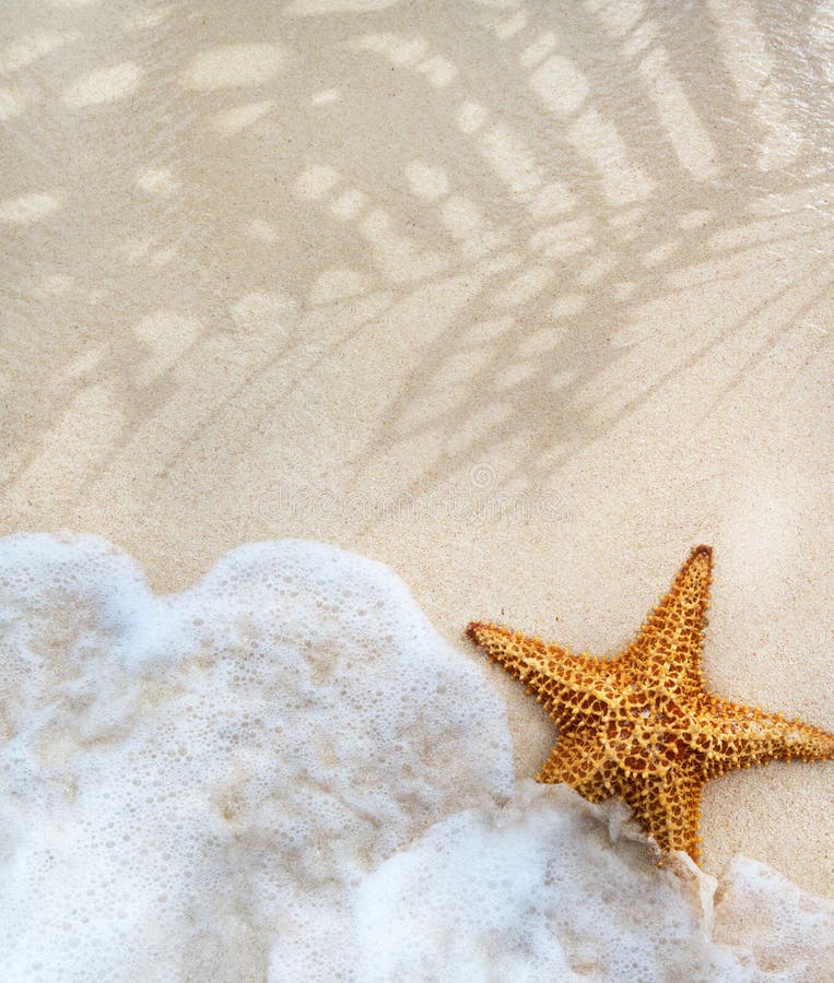 Abstract Summer Beach Sand Background Stock Image - Image of beach ...