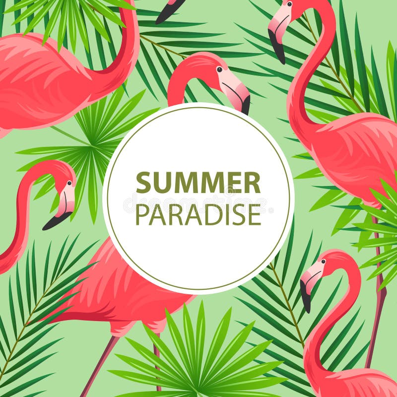Abstract Summer Design Template with Flamingos Stock Illustration ...