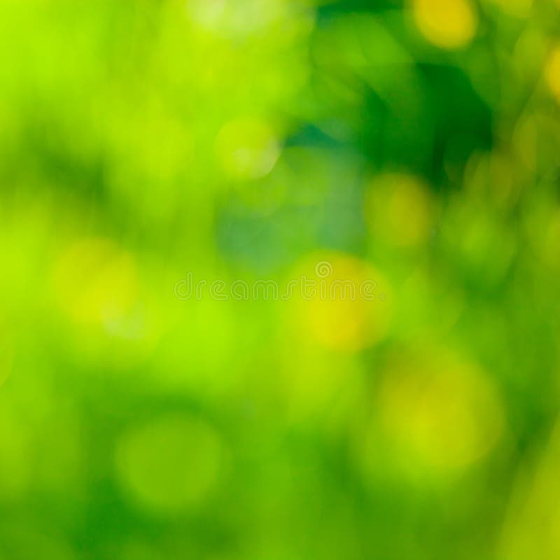Abstract Summer Lights Background Stock Photo - Image of defocused ...