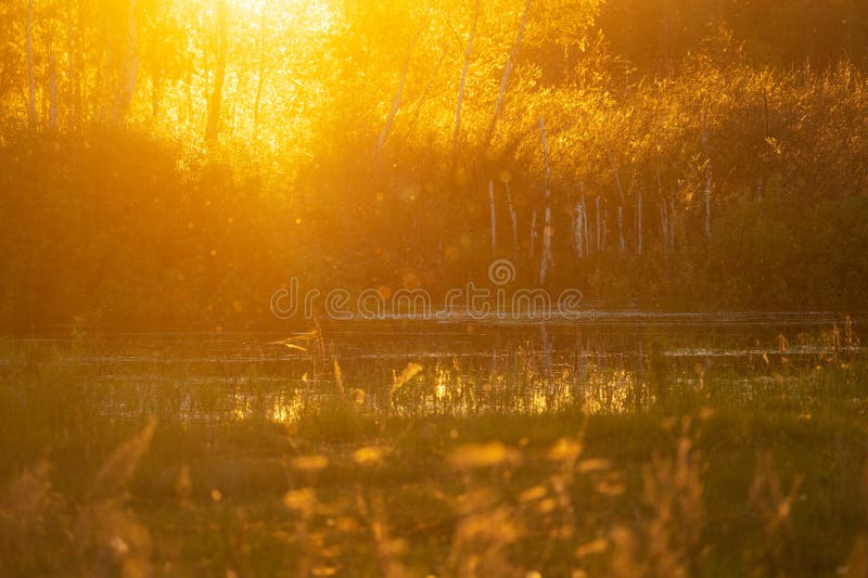 Abstract Sunset Background in Amber Orange Color. Stock Photo - Image ...
