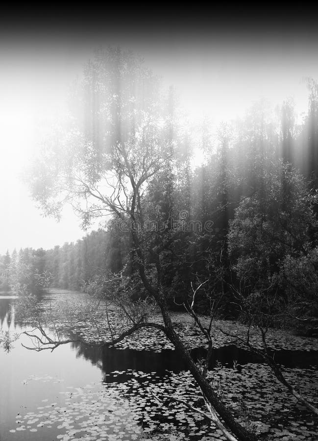 Abstract Sunset Rays Pond Landscape Backdrop Stock Photo - Image of ...