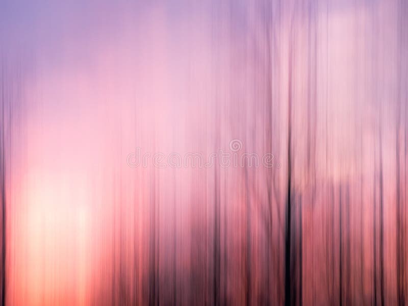 Abstract Sunset with Trees stock photo. Image of afternoon - 85996716