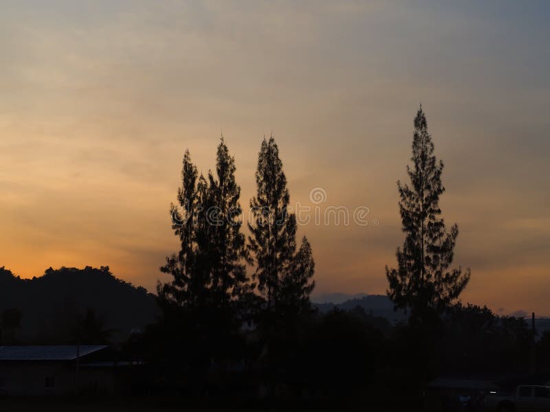 Abstract Sunset with Trees, Use As Background Stock Photo - Image of ...
