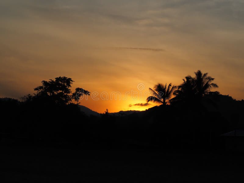 Abstract Sunset with Trees, Use As Background Stock Image - Image of ...